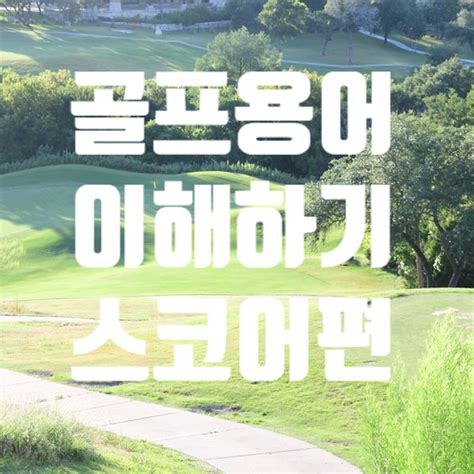 골프 초보자입문자가 가장 알고 싶은 스코어 용어 알아보기 양파보기파버디 네이버 블로그