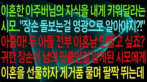 이혼한 형부의 자녀를 부탁한 시어머니는 귀한 손자를 잘 기르라고 잔소리를 하다가 그 아이가 사실 다른 사람의 자식임을 알고 난 후 심하게 소란을 피우고 있다 실화