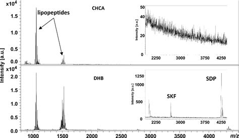 Figure 1 From A One Step Matrix Application Method For Maldi Mass
