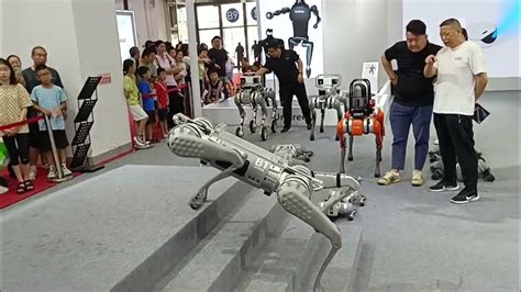 სამედიცინო რობოტები ეკა გულუა პეკინიდან Youtube