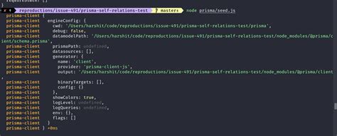 Document Logging Options Via `debug` Env Var · Issue 1697 · Prisma