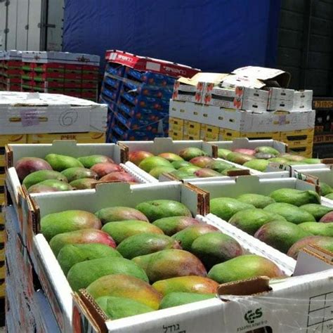 Stream Импортын хүнсний бүтээгдэхүүнд тавих хяналтыг нэмэгдүүлжээ By Mongolian National Radio