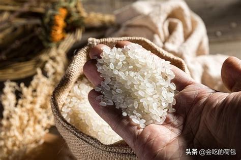 全国大米品牌排行榜 大米品牌排行榜前十名 WE生活