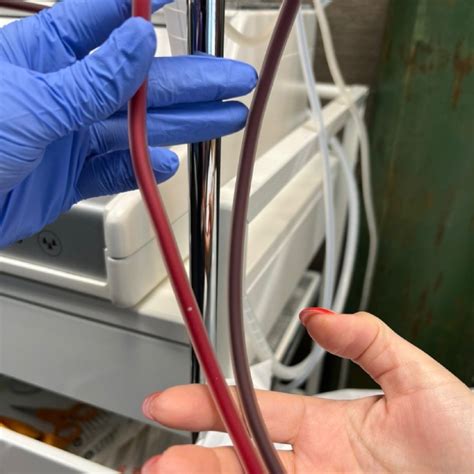 Eboo Therapy 369 Wellness Center