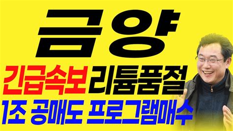 금양 🔥 긴급속보 리튬품절 1조공매도 진짜 큰일났다 프로그램1조 매수 들어옵니다 에코프로 에코프로비엠 박순혁 서정덕tv Youtube