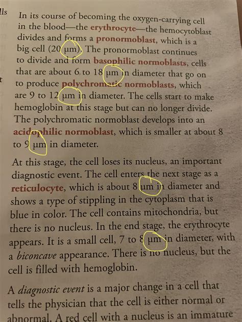 What Does This Mean After The Numbers R Esthetics