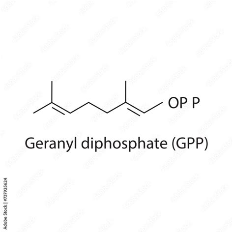 β Ionone Epoxide Skeletal Structure Diagram Volatile Compound Molecule Scientific Illustration