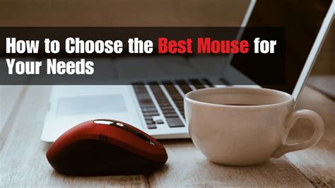 How To Choose The Best Mouse For Your Needs Find Your Editor