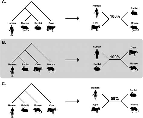 Multiple Sequence Alignment In Pursuit Of Homologous DNA Positions