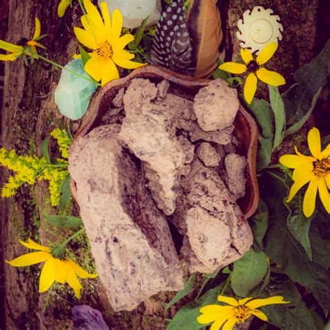 Eternity In A Box Botanicals