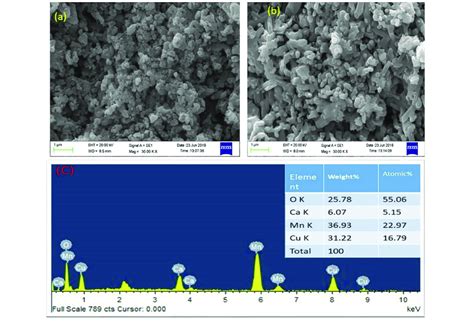 A SEM Micrographs Of Calcined At C For H B SEM Micrographs Download Scientific