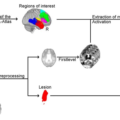 overview of the applied methods from raw data to voxel based lesion