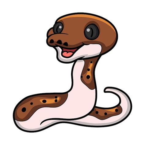 Dessin Animé Mignon Python Réticulé Pied Vecteur Premium