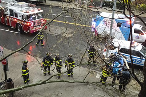 Falling Tree Hits Person On West End Avenue