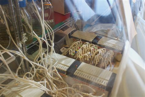 Mini Bioreactor Arrays Mbras Nebraska Food For Health Center Nebraska