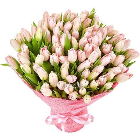 Купить тюльпаны с бесплатной доставкой в Москве букет тюльпанов недорого Hoa