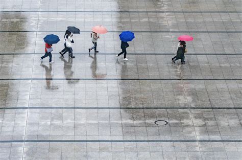 What 2025 Workplace Safety Statistics Reveal About Risk And Readiness