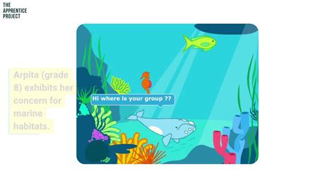 The Apprentice Project Tap On Linkedin Coding Sustainability Sdg