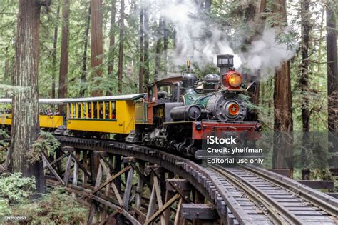 미국 캘리포니아 주 펠튼에 있는 트레슬 크로싱 레드우드 포레스트를 가로지르는 포효하는 캠프의 딕시아나 셰이 증기 열차 증기 기관차에 대한 스톡 사진 및 기타 이미지 Istock