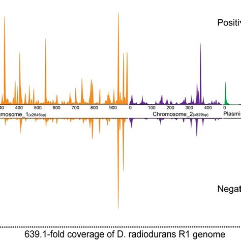 strand specific rna seq analysis of the genes from d radiodurans