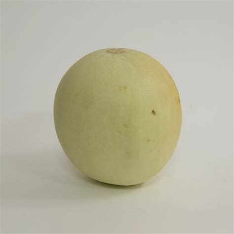 Honeydew Melon Whole Fruit For All