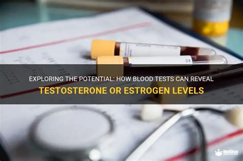 Exploring The Potential How Blood Tests Can Reveal Testosterone Or Estrogen Levels MedShun
