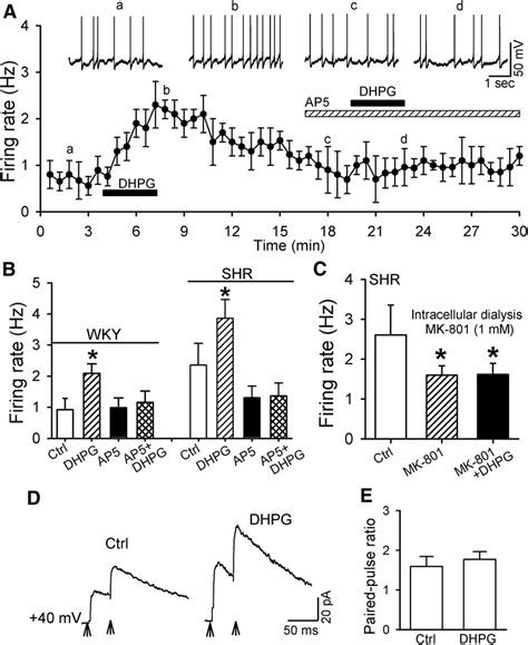 Nmdars Mediate The Excitatory Effect Of Mglur5 Activation On Spinally