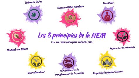 4 ¿qué principios fomenta la nem