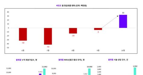 인니 미용의료 플랫폼 기업 써밋츠 출범 후 첫 현금흐름 흑자달성