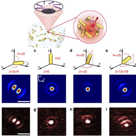 Arbitrary 3d Polarization Orientation Achieved By A Single Optically
