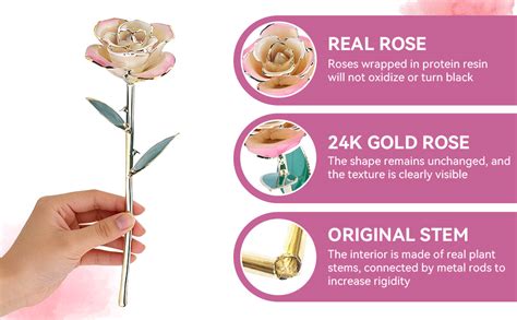 Jwthee 24k Gold Dipped Real Rose With Stand Gold Dipped