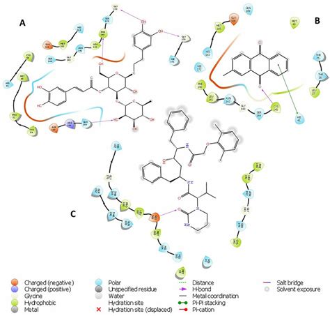 The 2 D Interaction Of A Acteoside B Tectoquinone And C Download Scientific Diagram