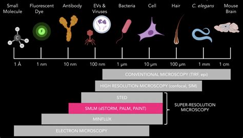 Why Use Super Resolution Microscopy Starting With The Basics