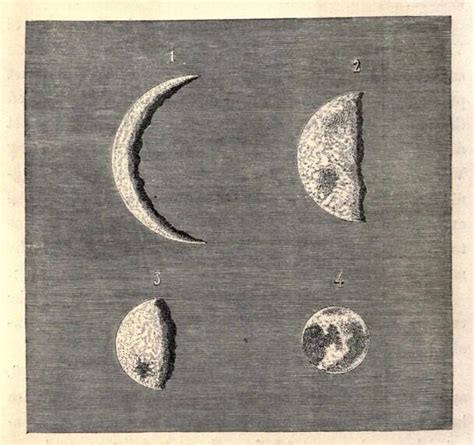 Waxing And Waning Venus Tania Daniels Astrologer