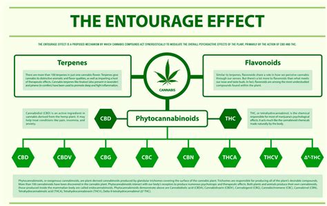 The Entourage Effect Hemp Derived Cbd Restorative Cbd
