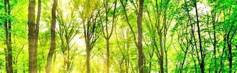 Become A Sorcerer Of Source Control By Shahaf Mezin Aug 2021 Medium