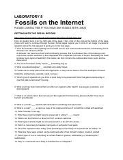 Exploring Fossils An Interactive Online Laboratory Experience Course Hero