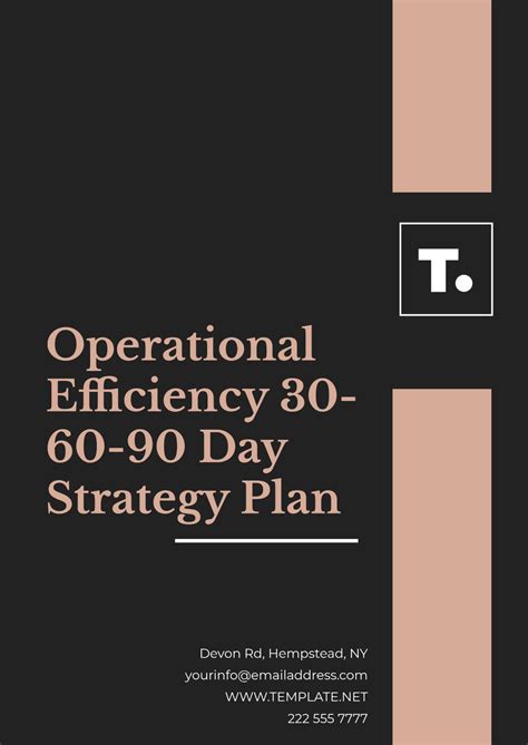 Free Operational Efficiency 30 60 90 Day Strategy Plan Template To Edit Online