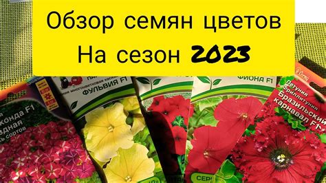 ОБЗОР СЕМЯН ЦВЕТОВ НА СЕЗОН 2023 Youtube
