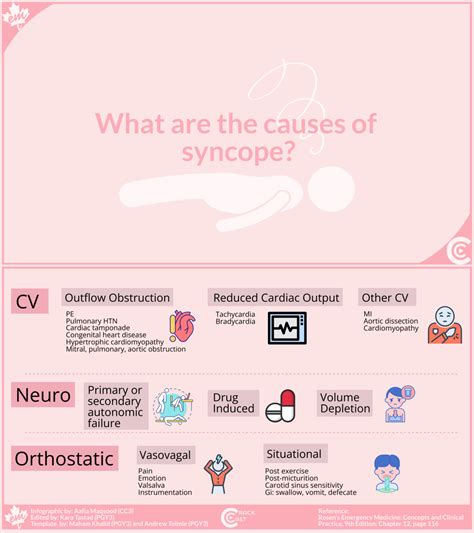 Common Ed Presentations Clerk Flashcards Canadiem