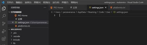 Vscode Platformio主页一直显示loading解决方案could Not Start Plo Home Server