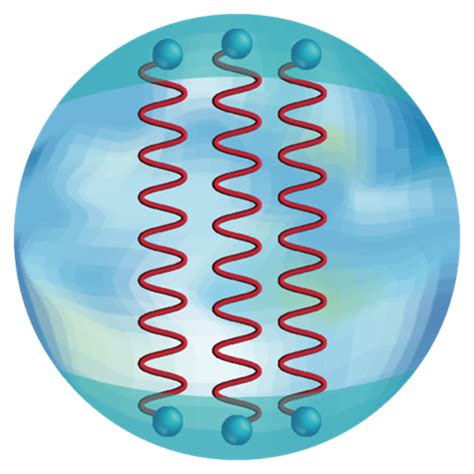 A Simple Solution For Nuclear Matter In Two Dimensions Department Of