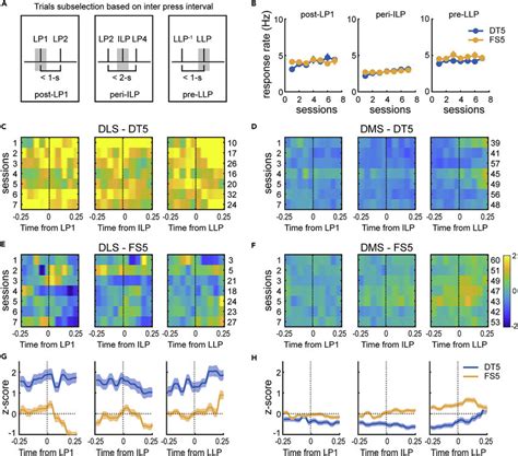 Persistent Task Differences In Striatal Activity After Controlling For Download Scientific