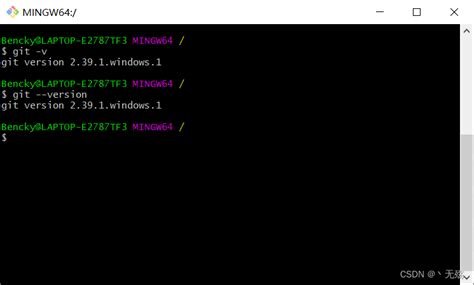 git安装及使用图文教程详解（附带安装文件） git2 45 1安装教程 csdn博客