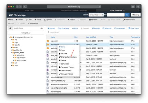 Cách Khắc Phục Lỗi Installation Failed Could Not Create Directory” Trên Wordpress Wiki Tino