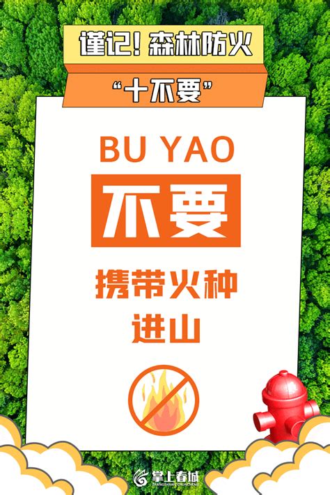 海报 谨记森林防火十不要 防范 火灾 火险