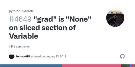 Grad Is None On Sliced Section Of Variable Issue Pytorch Pytorch Github