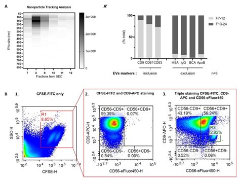 Extracellular Vesicles Characterization A Nanoparticle Tracking Download Scientific Diagram