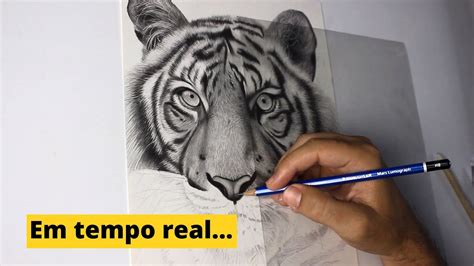 Desenhando Um Tigre Realista Em Tempo Real Youtube