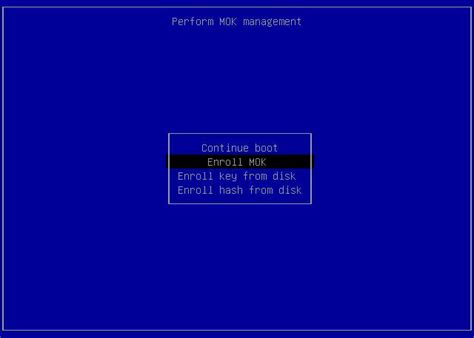 Secure Boot Setup Proxmox Ve